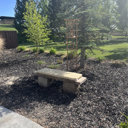 Dakota Fields Balmorhea Stone/Concrete Garden Bench & Reviews | Wayfair