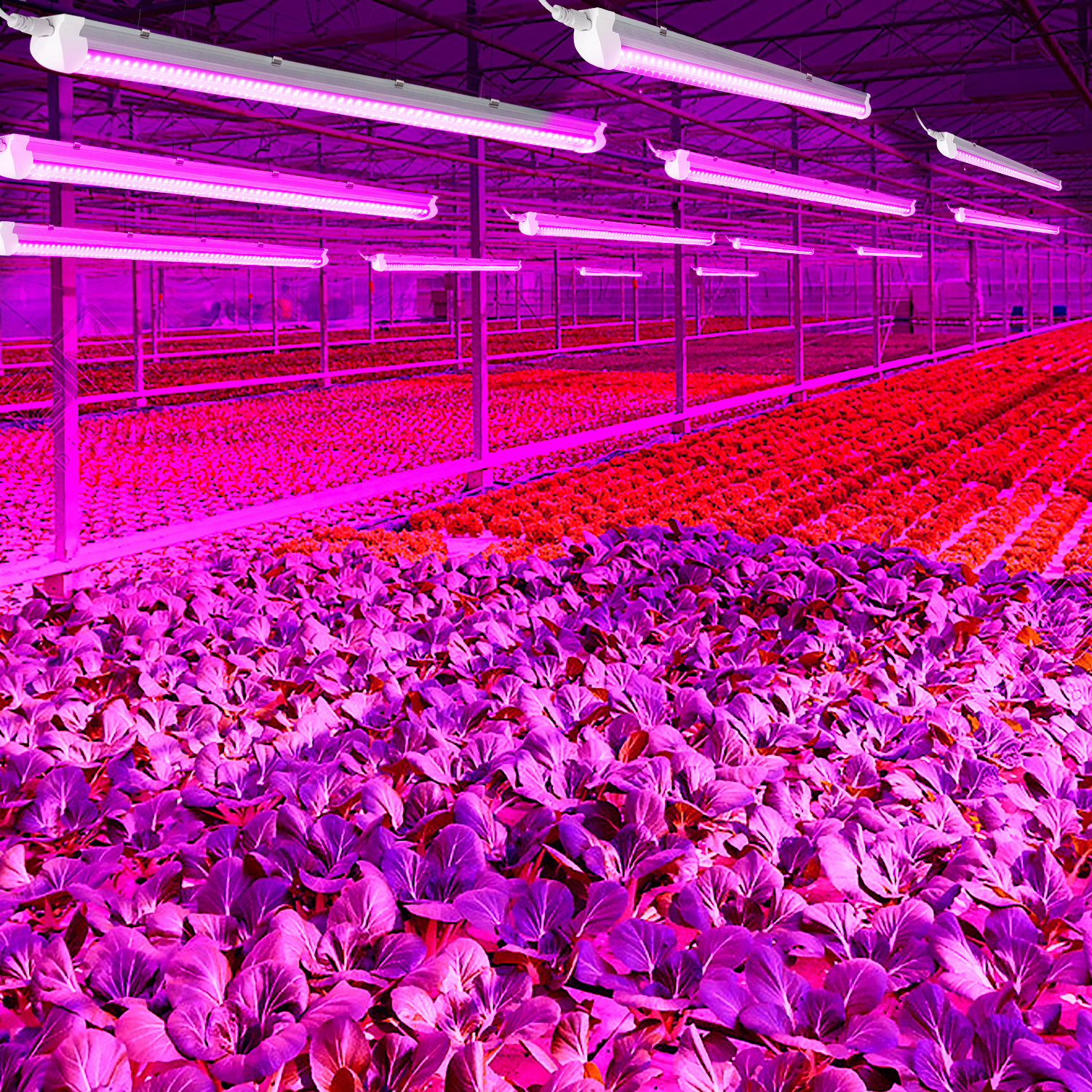 JESLED T8 Integrated LED Indoor Grow Light , Full Spectrum, Combination ...