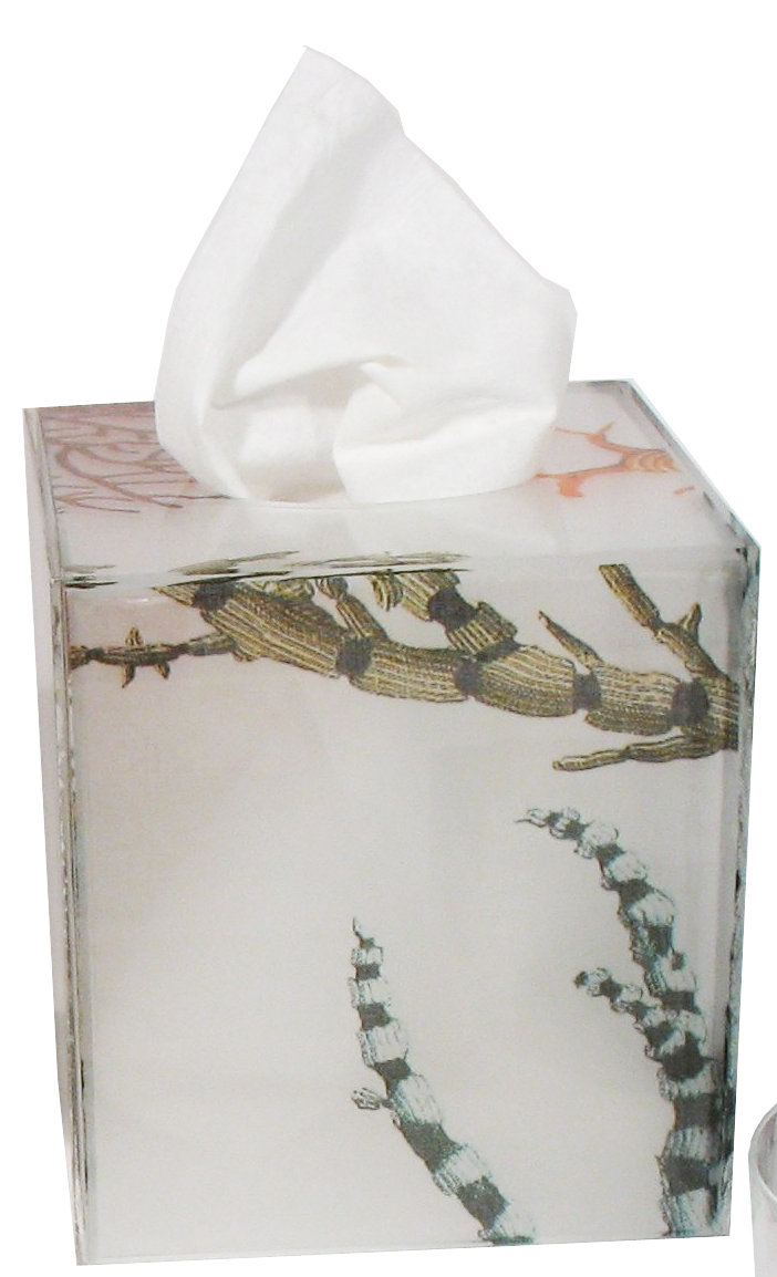 Oggetti Neptune Tissue Box Cover - Wayfair Canada