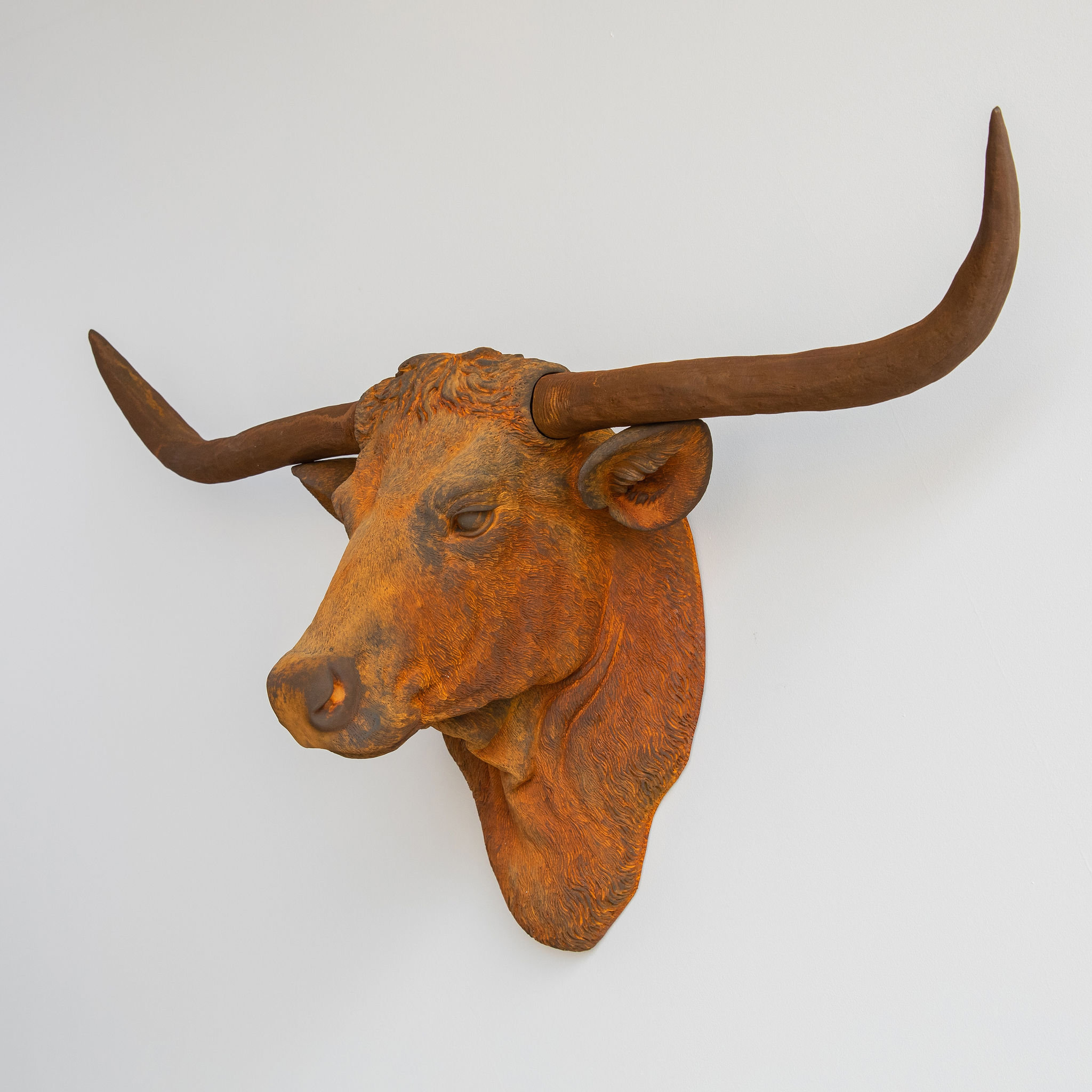 Union Rustic Texas Longhorn Head Wall Décor & Reviews | Wayfair