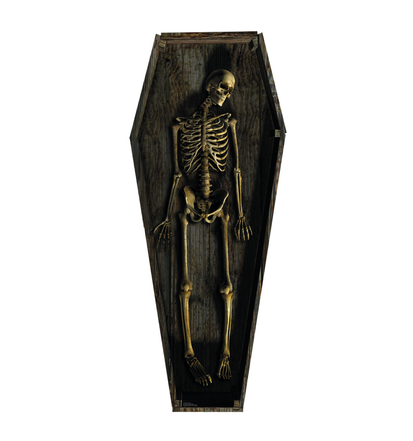 Advanced Graphics Skeleton Casket Stand-Up & Reviews | Wayfair