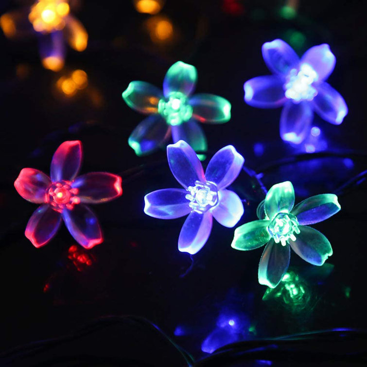 Arlmont & Co. Dasara 2'' LED Solar Powered 30 - Bulb Mini String Light ...