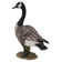 Hi-Line Gift Ltd. Standing Canada Goose Statue | Wayfair
