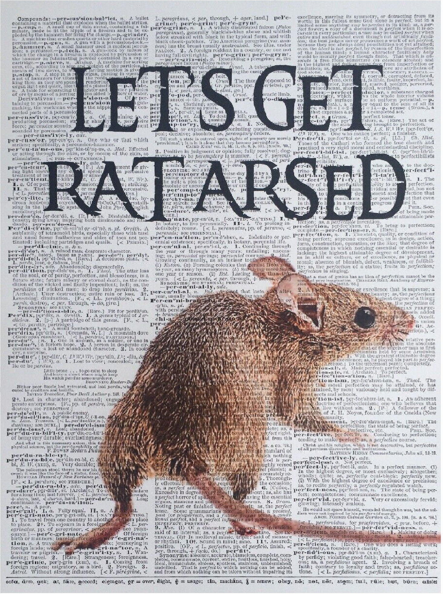 Maturi A3 Get Rat Arsed Dictionary Print - Humour Wall Art - Funny ...