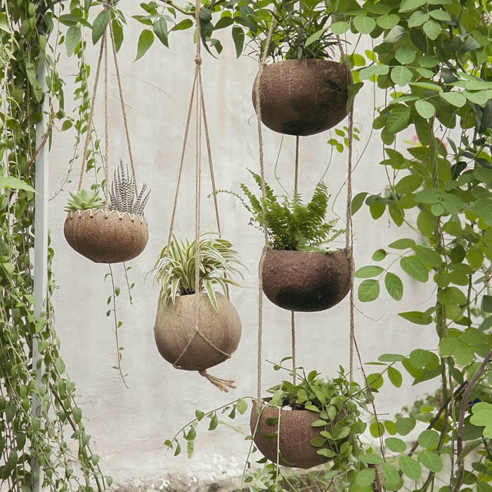 Rainforest Bowls Wood Hanging Planter | Wayfair