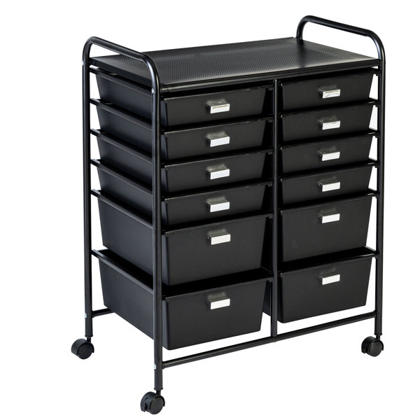 Rebrilliant Aiden 12 Drawer Rolling Storage Chest & Reviews | Wayfair