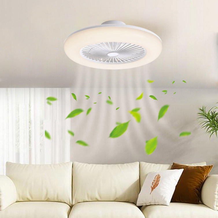 Ivy Bronx 55cm LED Ceiling Fan with Remote Control and Light Kit ...