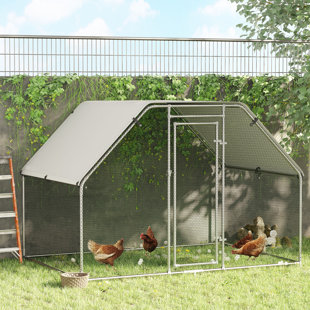 Wayfair | Chicken Runs You'll Love in 2022