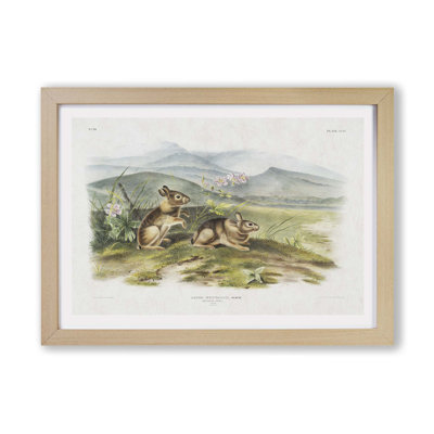 Hare Pictures | Wayfair.co.uk