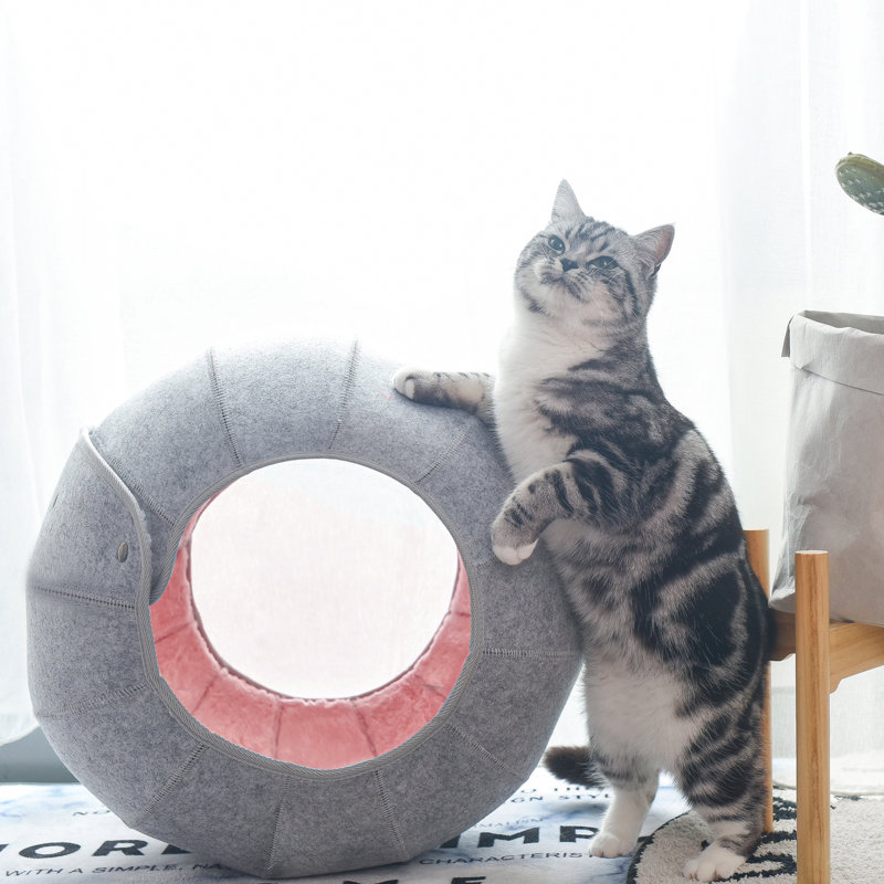 K1 Pet Design Round Cat Bed | Wayfair