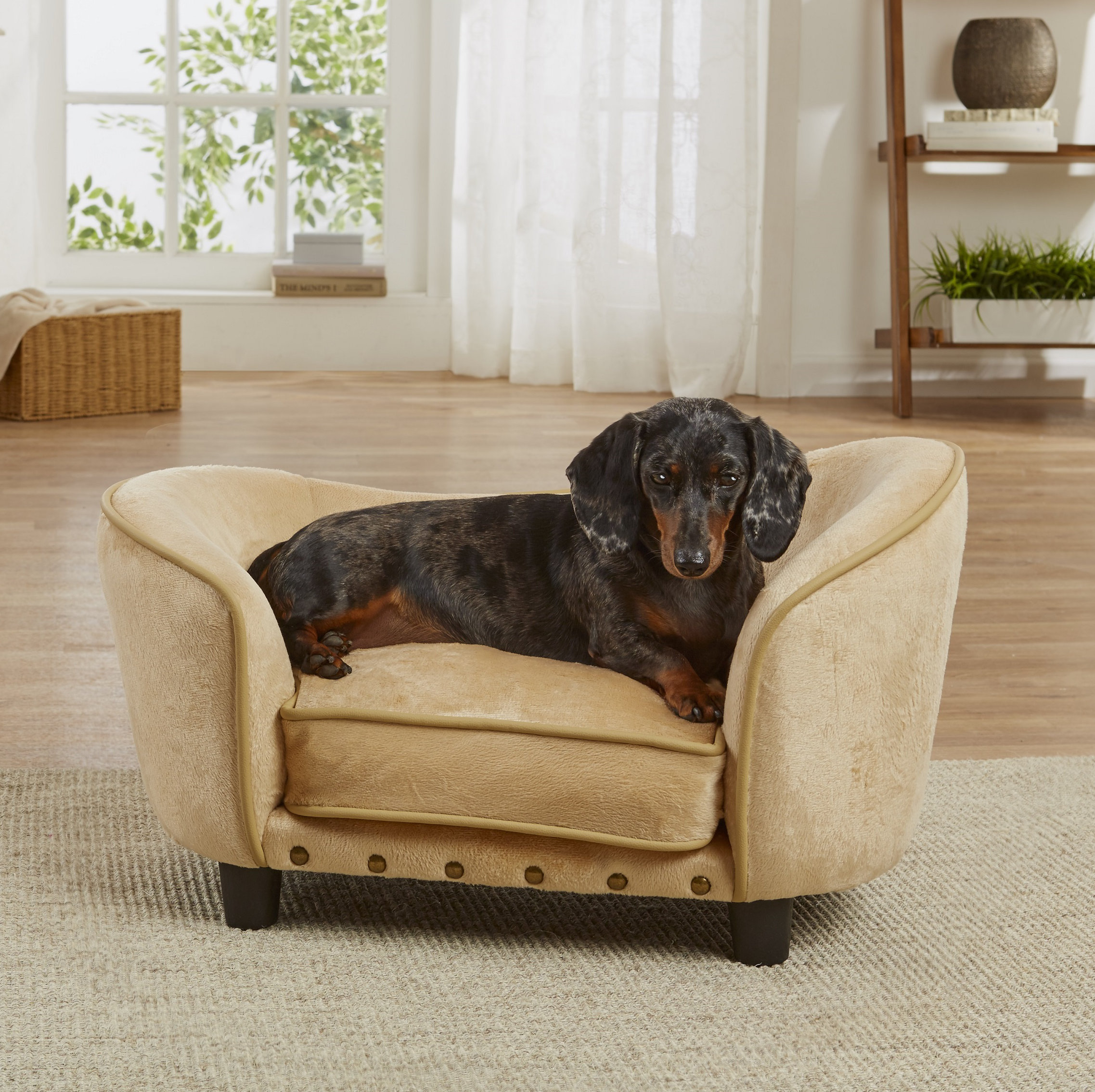 Archie & Oscar™ Odin Dog Sofa & Reviews | Wayfair