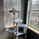Tucker Murphy Pet™ 58" Bybee Cat Tree or Condo & Reviews | Wayfair