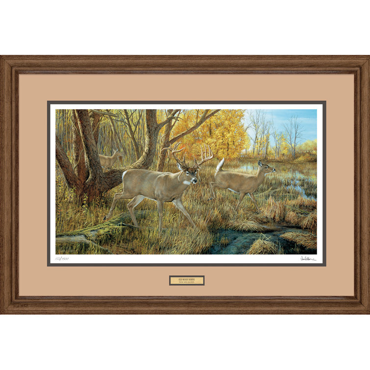 WildWings Ron Van Gilder - Picture Frame Print | Wayfair