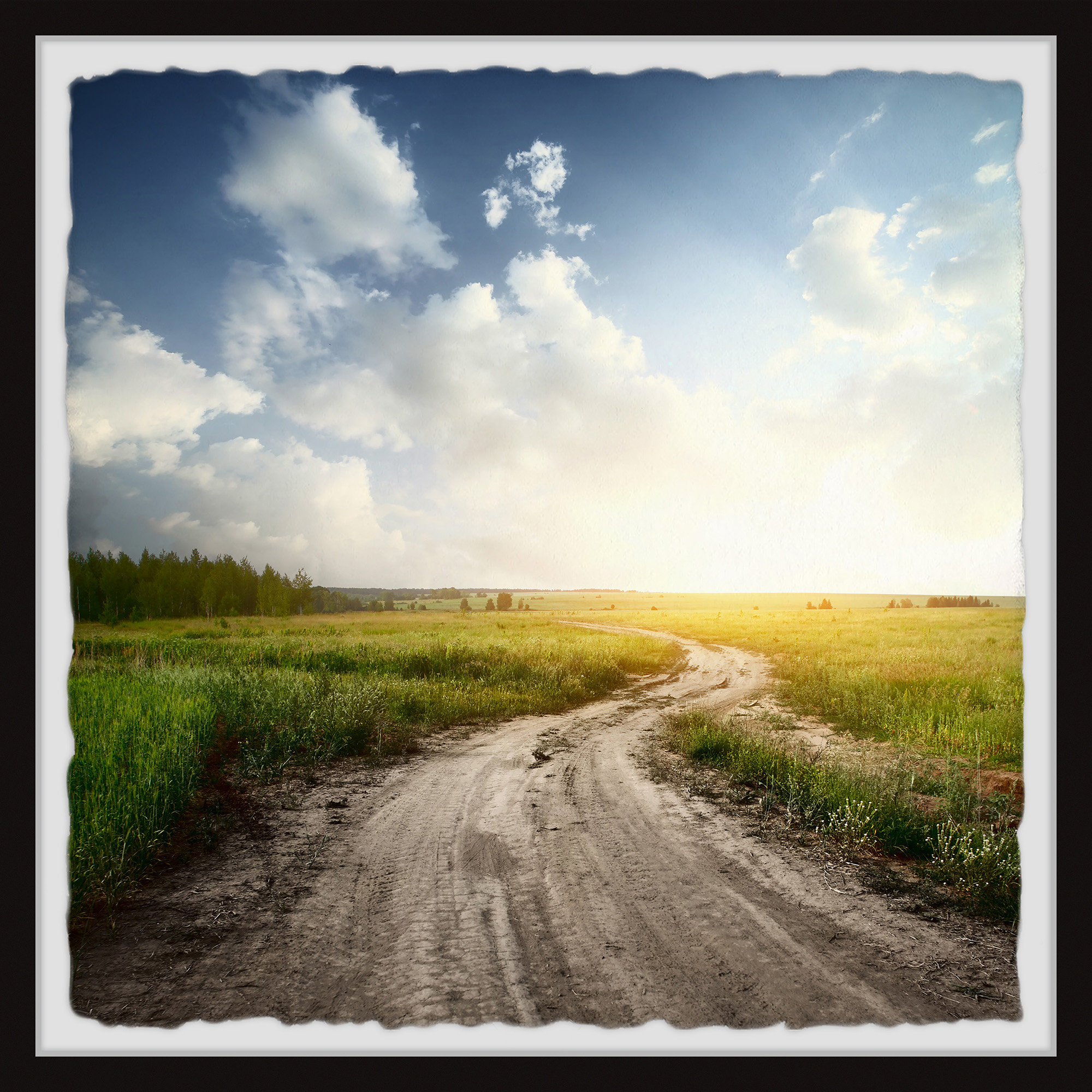 Latitude Run® Path Less Taken by - Picture Frame Photograph | Wayfair