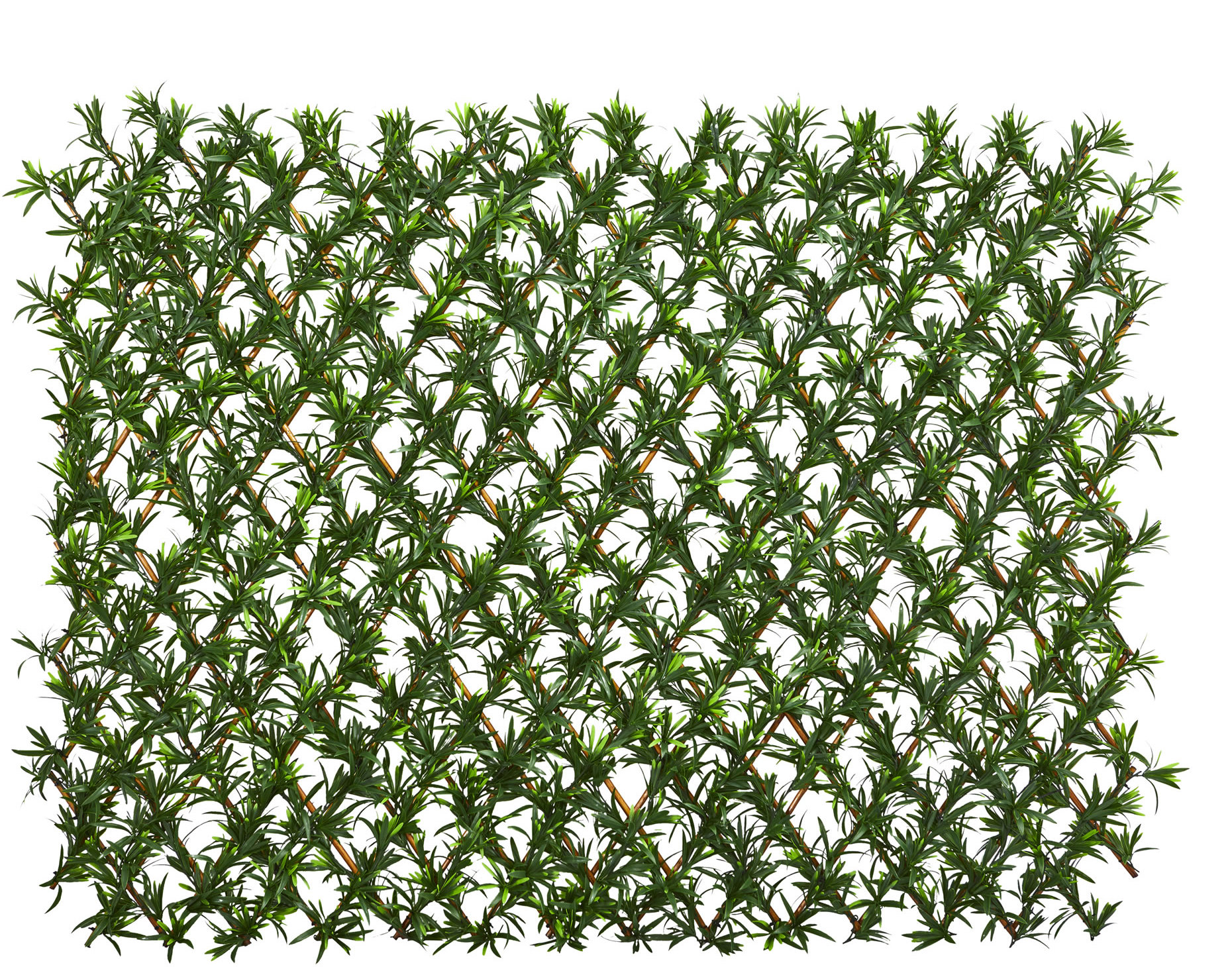 Primrue Expandable Podocarpus Fence UV Resistant & Waterproof | Wayfair