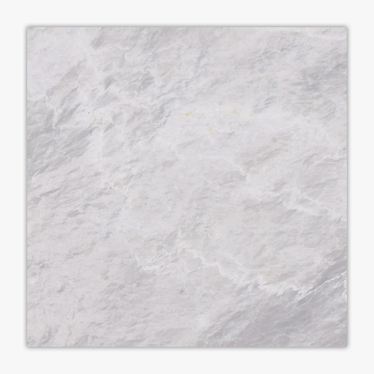 Direct Stone Source Norde Grigio 8" x 8" Marble Look Wall & Floor Tile ...