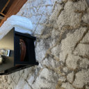 Steelside™ Cade Power Loom Performance Ivory/Gold Rug & Reviews | Wayfair