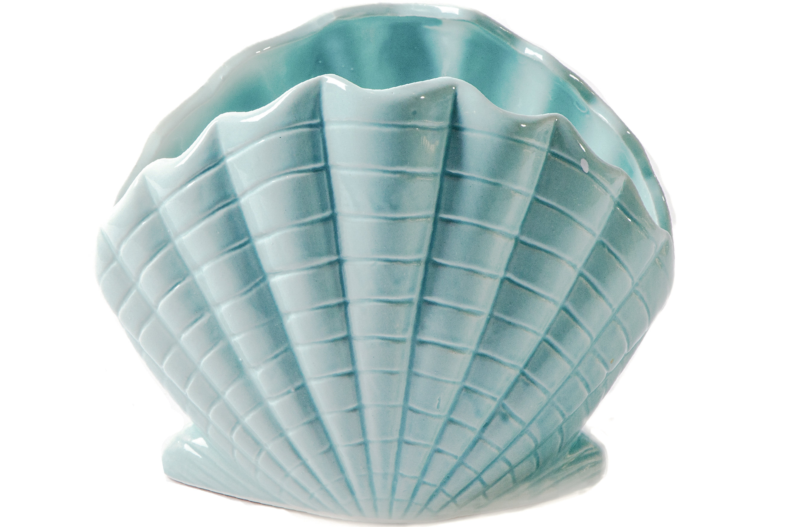 Dovecove Ceramic Clam Seashell Sculpture Gloss Finish Cyan | Wayfair