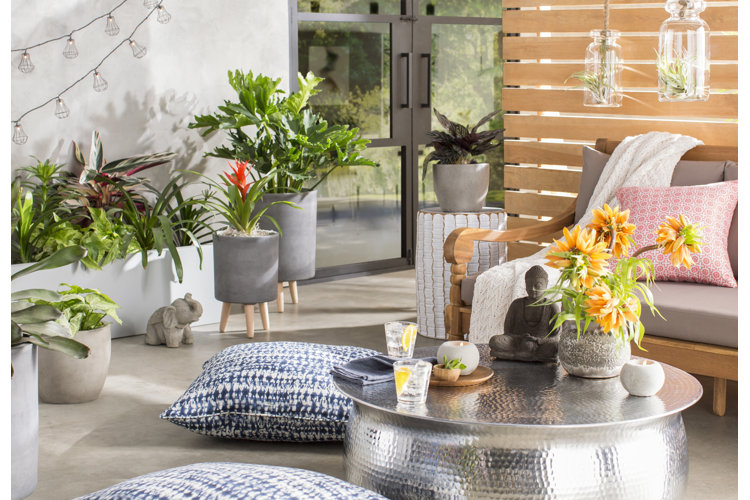 Planter Ideas & Designs | Wayfair