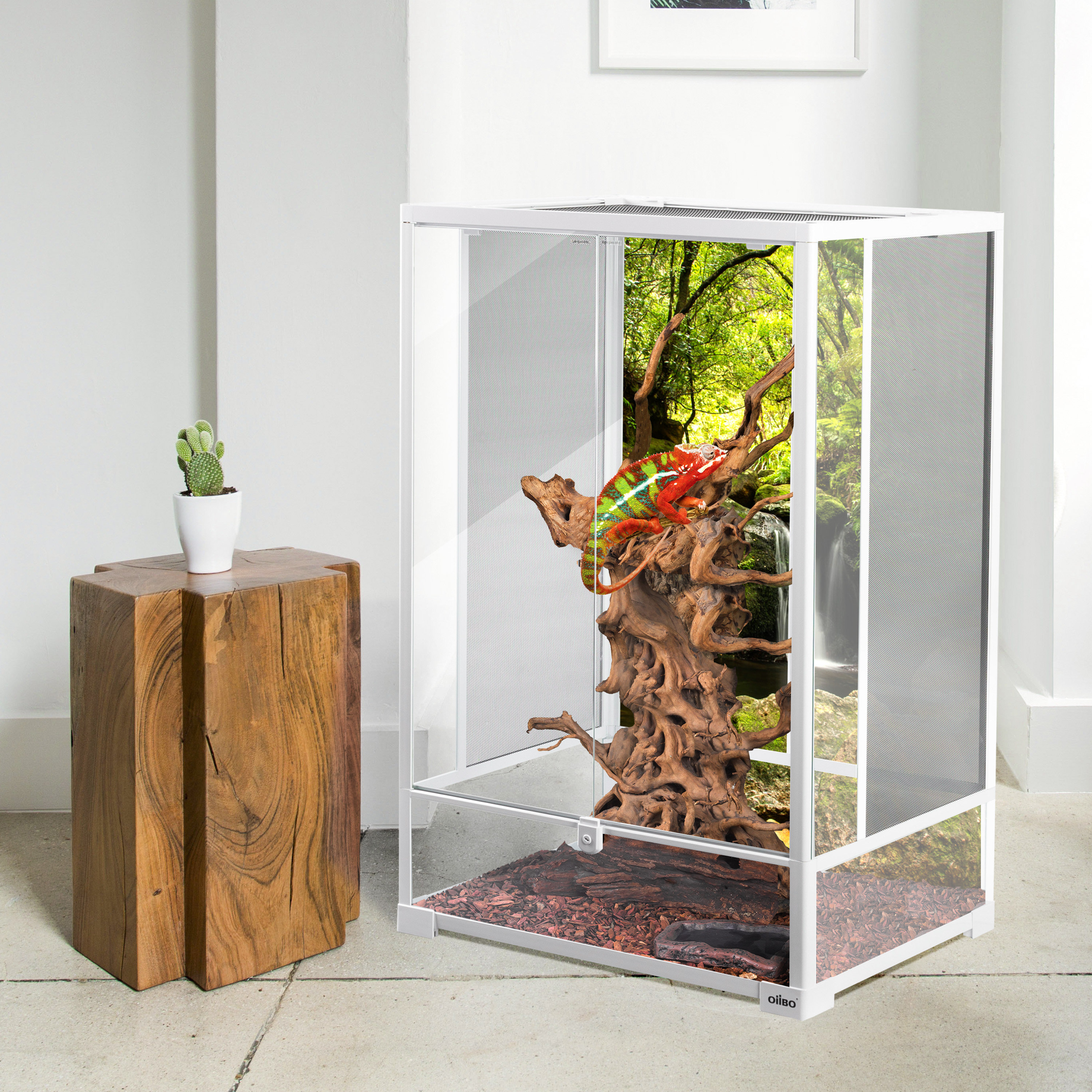OiiBO 55 Gallon Terrarium & Reviews | Wayfair