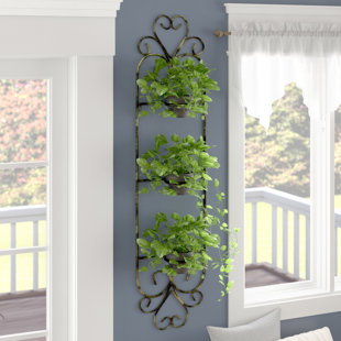 Wayfair | Extra Large Wall Mounted Planters You'll Love in 2022