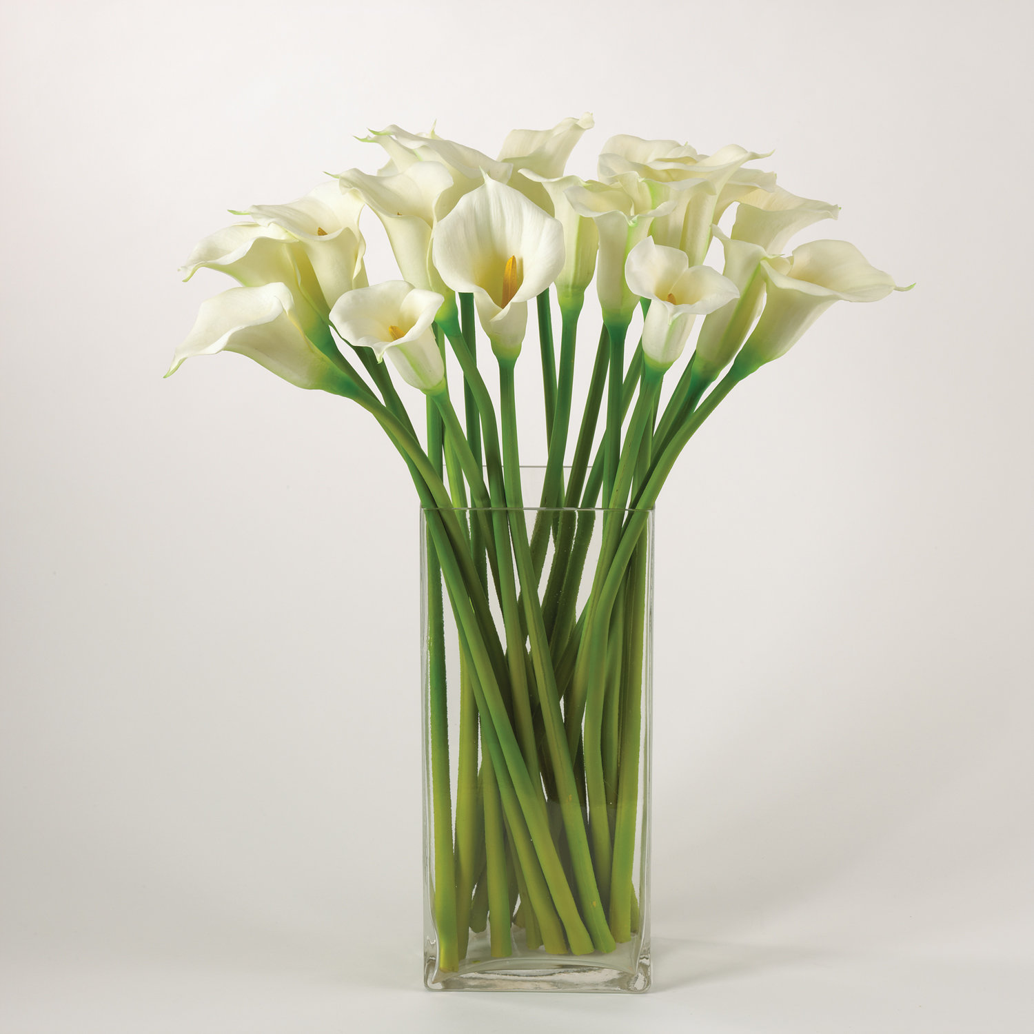 Latitude Run® Lily Stem & Reviews | Wayfair