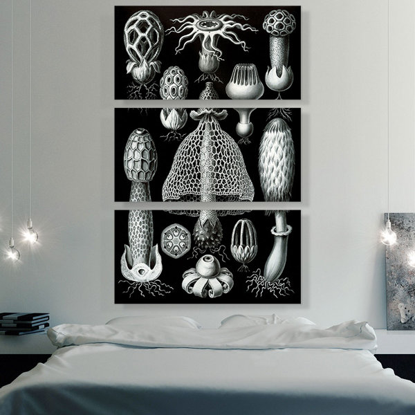 ARTCANVAS Funji Mushroom by Ernst Haeckel - 3 Piece Wrapped Canvas ...