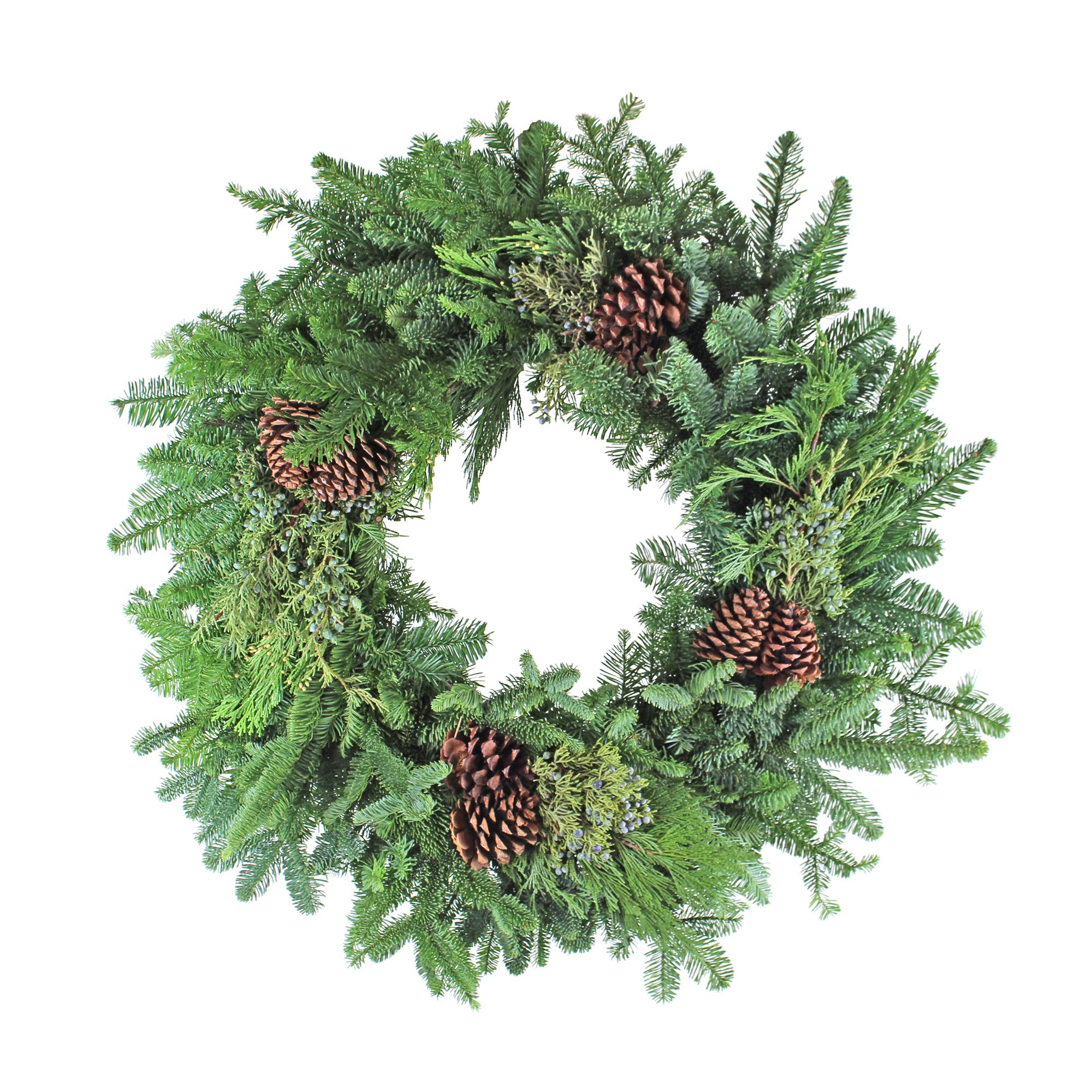 Primrue Handcrafted Fresh Mixed Assortment Greenery 28'' Wreath | Wayfair