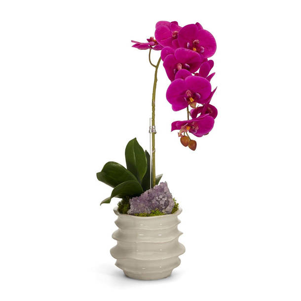 T&C Floral Company Orchid Flowering in Urn & Reviews | Wayfair