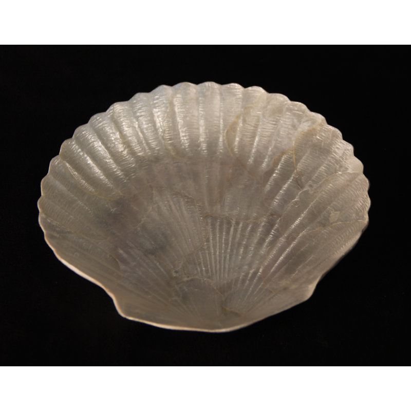 Highland Dunes Hudson Oaks Clam Shaped Capiz Shell Serving Tray | Wayfair