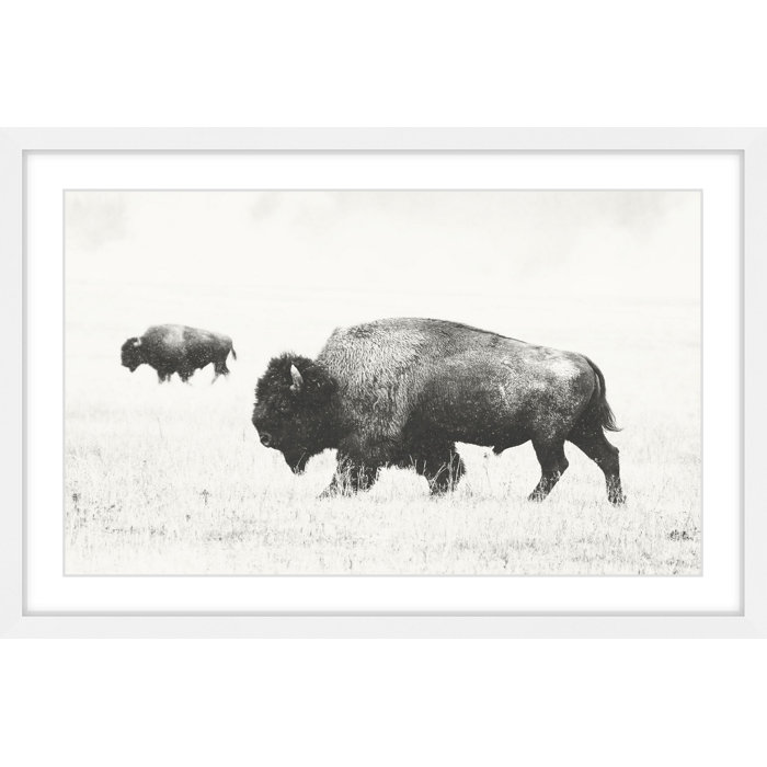 Union Rustic Buffalo Pair - Picture Frame Photograph & Reviews | Wayfair