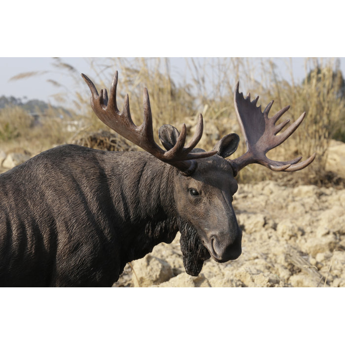 Hi-Line Gift Ltd. Standing Moose Statue | Wayfair