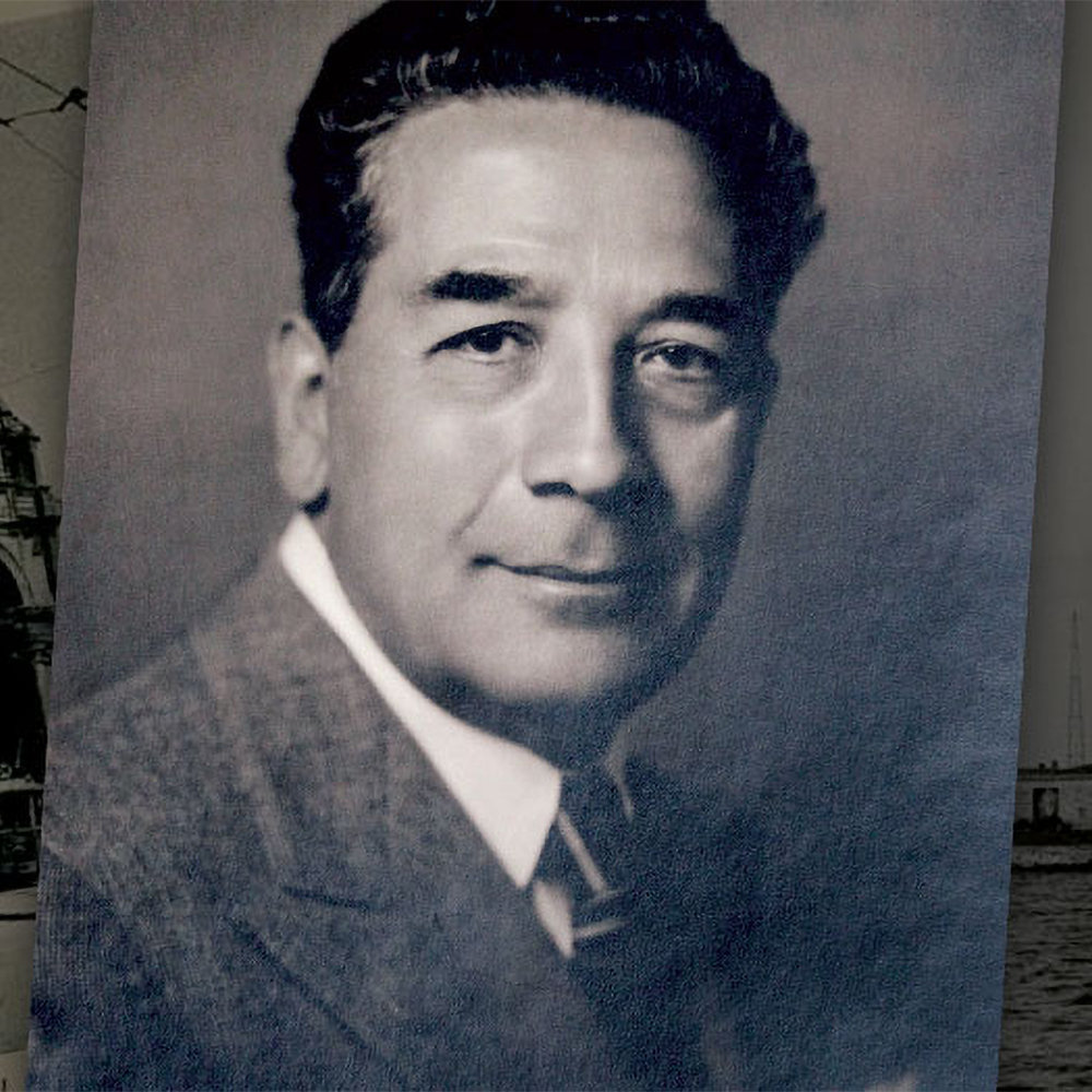 THSc Elsie De Wolfe Sunbrella Fabric | Perigold