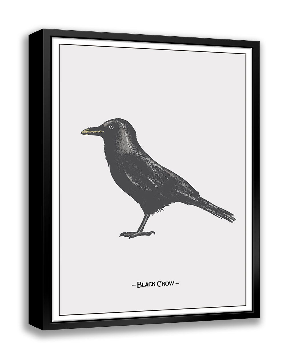 ATX Art Group LLC The Black Crow by - Floater Frame Graphic Art on ...