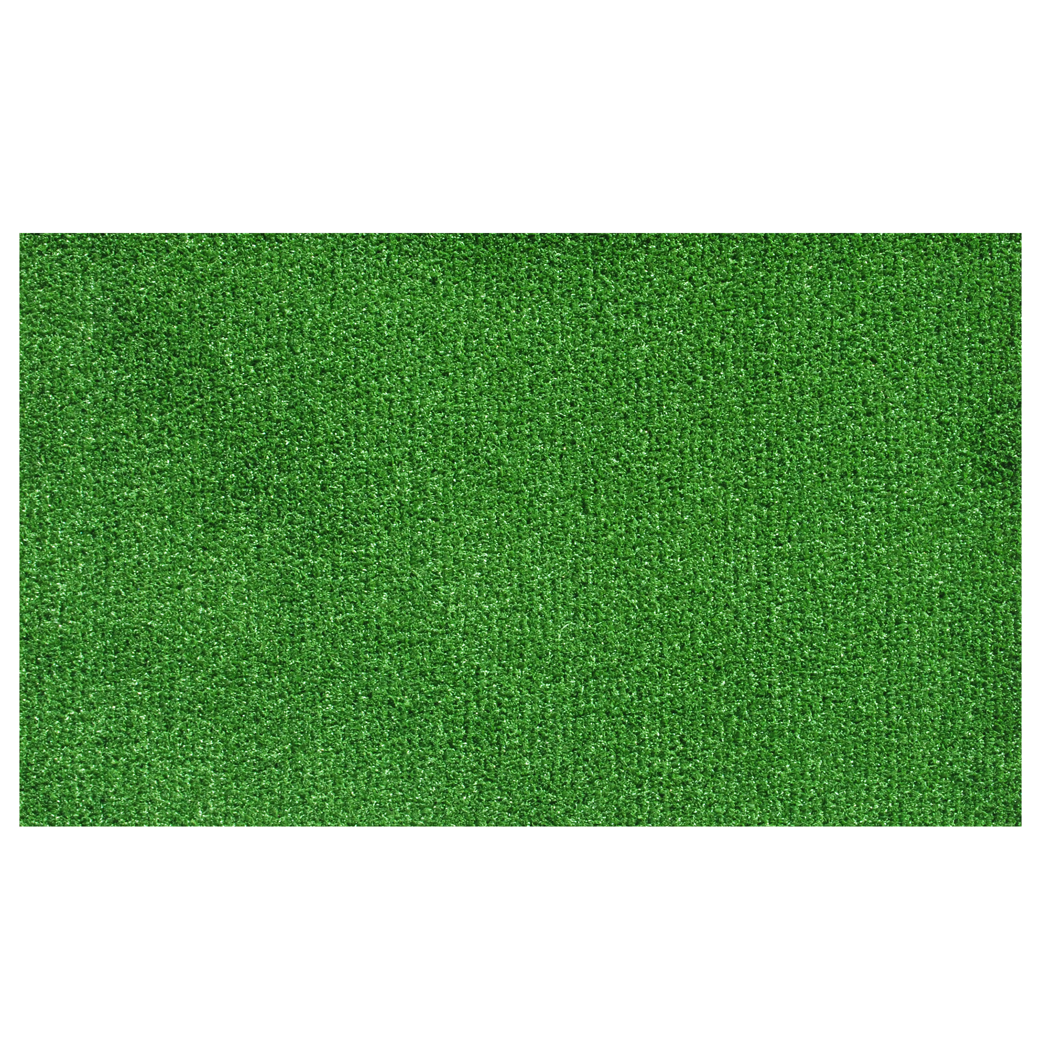 Home More Turf Reviews Wayfair