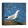 Highland Dunes Painted Coastal Seagull - Print on Canvas | Wayfair