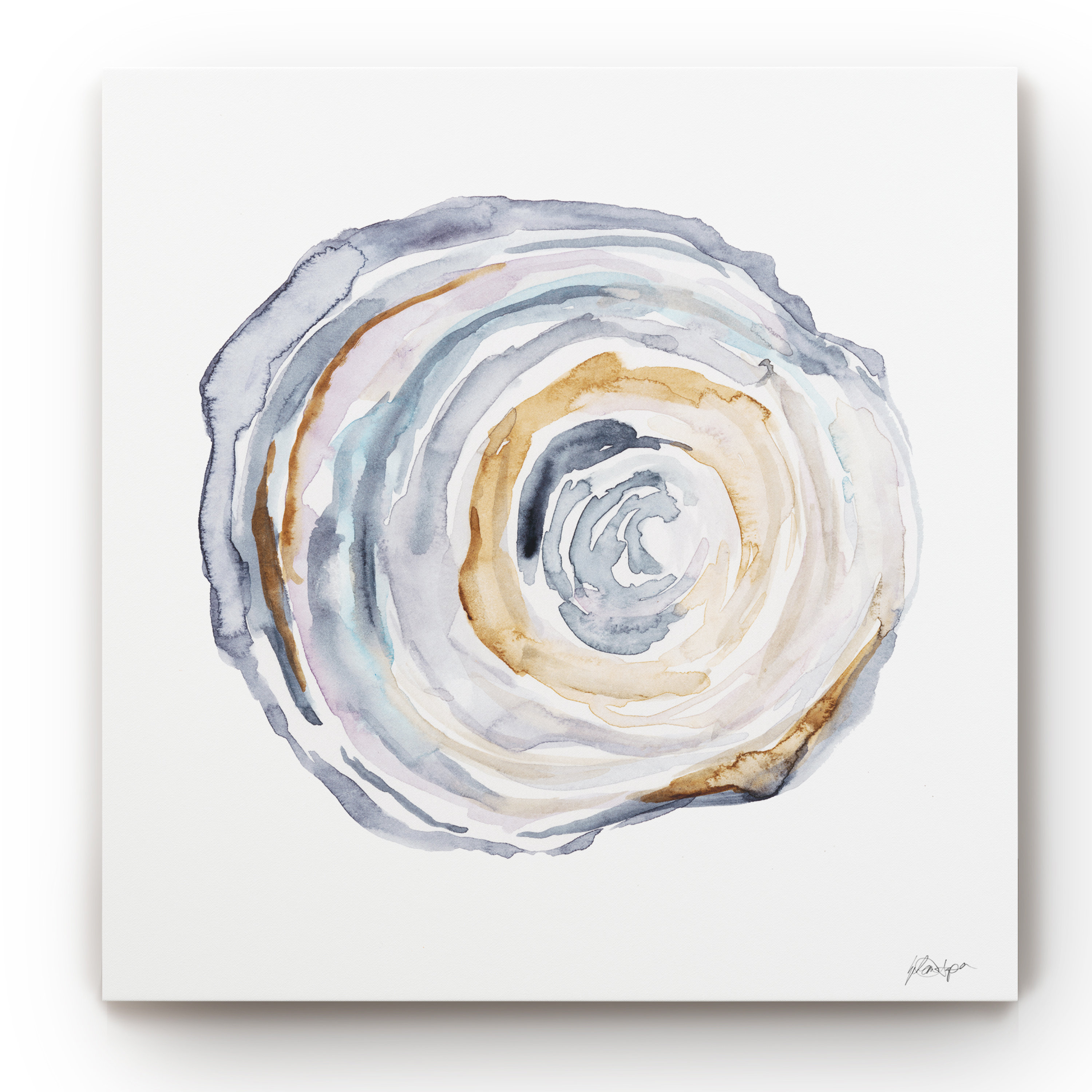 Wrought Studio Watercolor Tree Ring IV - Wrapped Canvas Print & Reviews ...