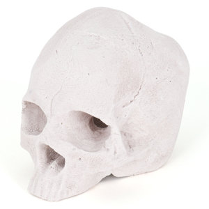 Blue Ridge Brand Skeleton Head/Skull Decor For Outdoor Fire Pit | Wayfair