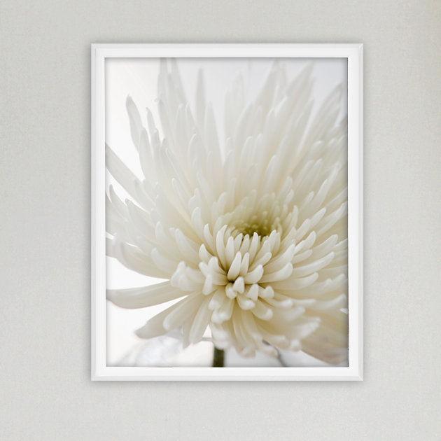 Framatic Fineline Picture Frame & Reviews | Wayfair
