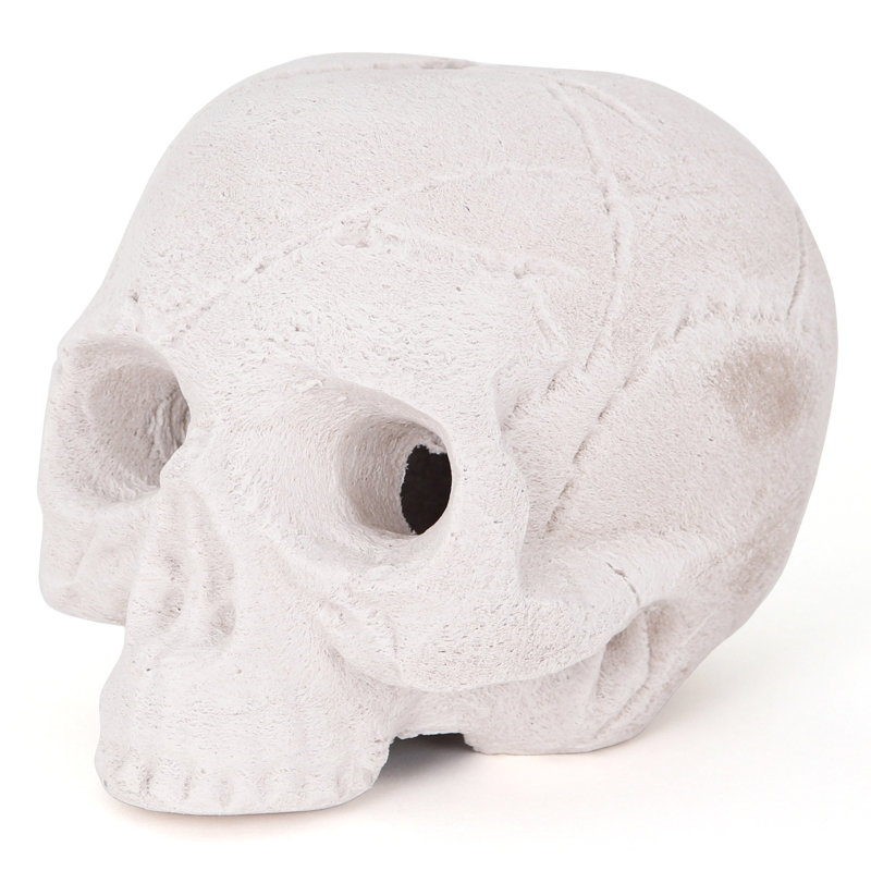 Blue Ridge Brand Skeleton Head/Skull Decor For Outdoor Fire Pit | Wayfair