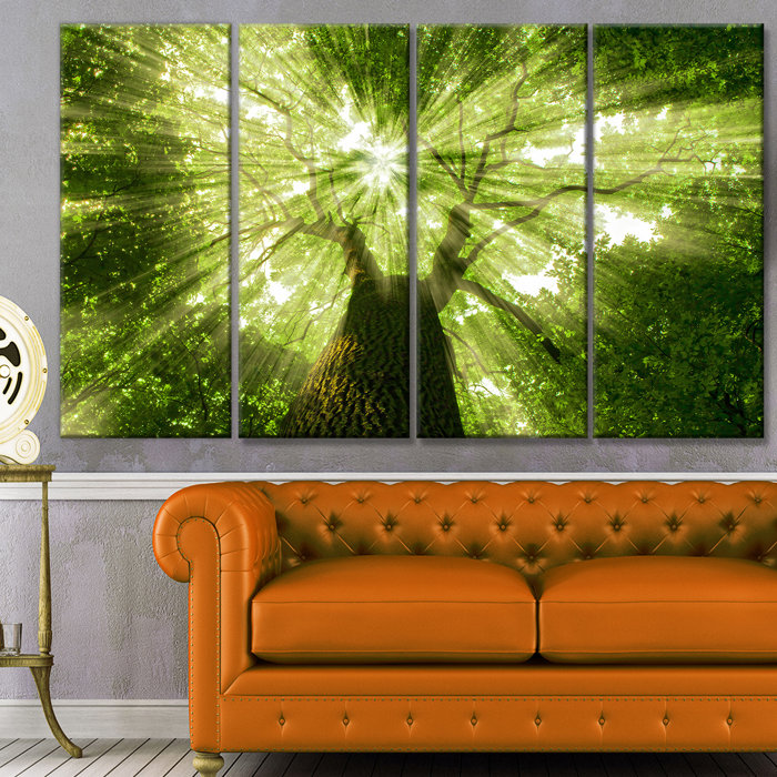 DesignArt Sunlight Peeking Through Green Tree - 4 Piece Photograph on ...