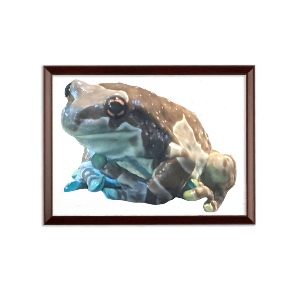 Trinx Toad Sublimation Wall Decor | Wayfair