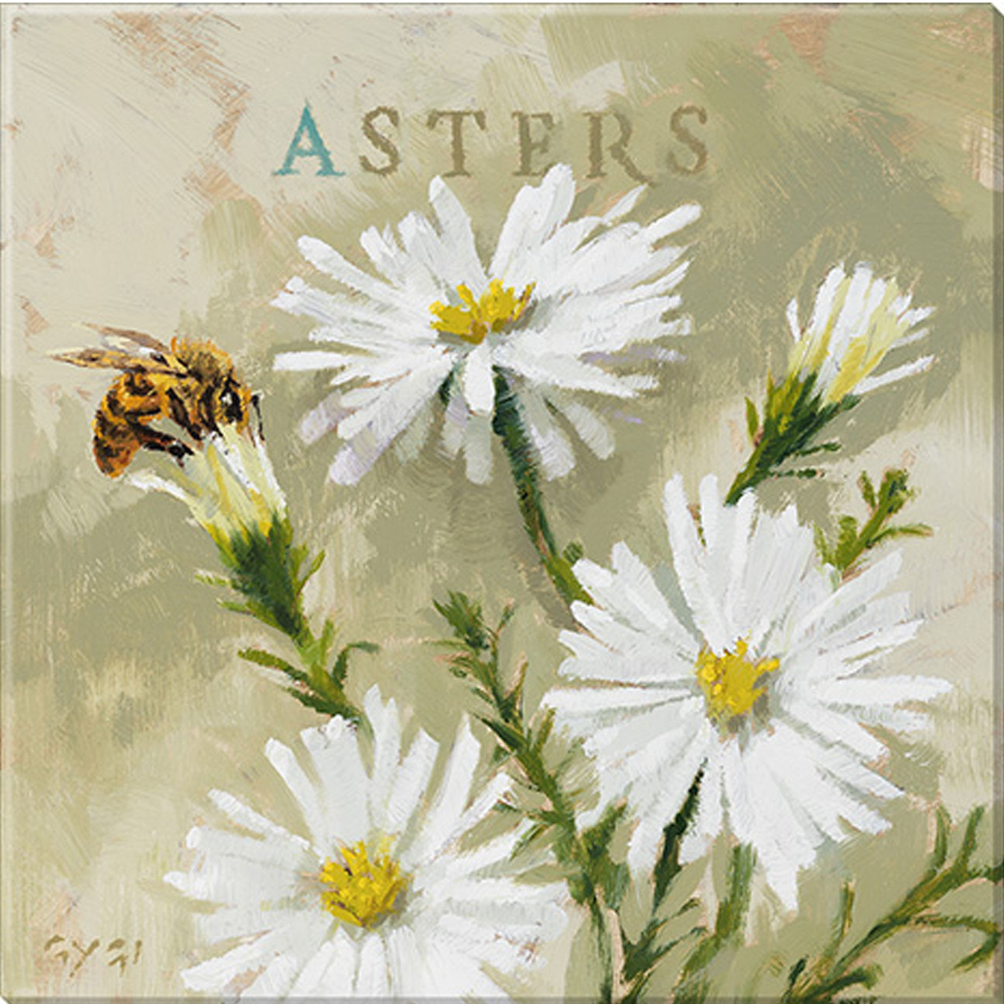 Darren Gygi Home Collection Aster Giclee Wall Art by Darren Gygi ...
