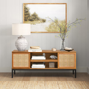 Sand & Stable Prudhoe TV Stand for TVs up to 55" & Reviews | Wayfair