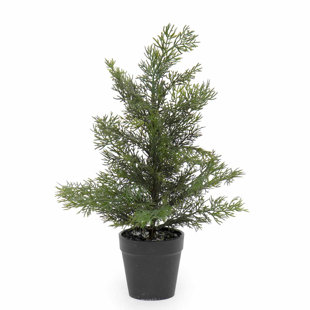 Farmhouse & Rustic Tabletop Trees Holiday Decorative Accents | Birch Lane