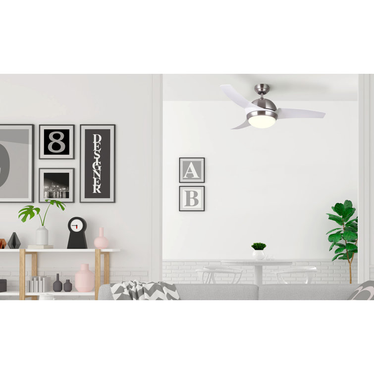 Orren Ellis Kester 42'' Ceiling Fan with LED Lights & Reviews | Wayfair