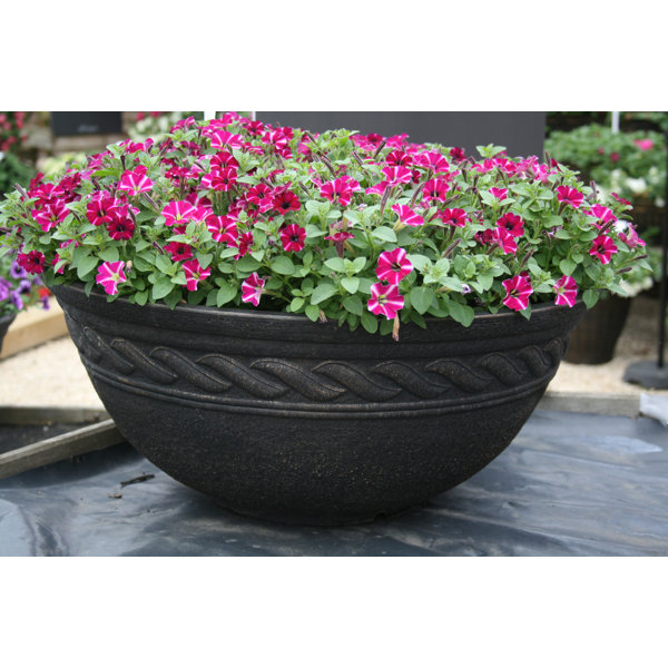Brambly Cottage Canas Plant Pot & Reviews | Wayfair.co.uk