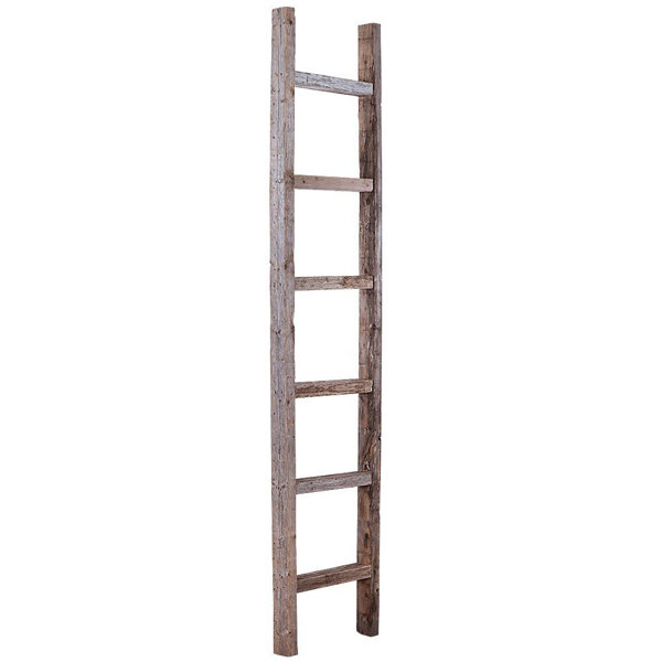 August Grove® 48'' Tall Solid Wood Blanket Ladder & Reviews | Wayfair