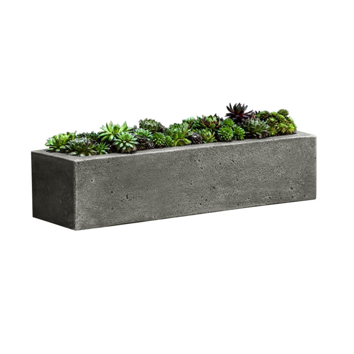 17 Stories Lakshman Cast Stone Planter Box & Reviews | Wayfair