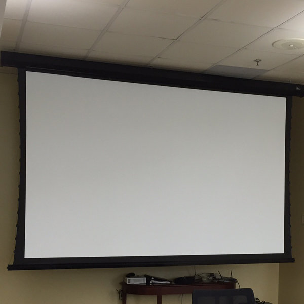 Elite Screens CineTension2 White Electric Wall/Ceiling Mounted ...